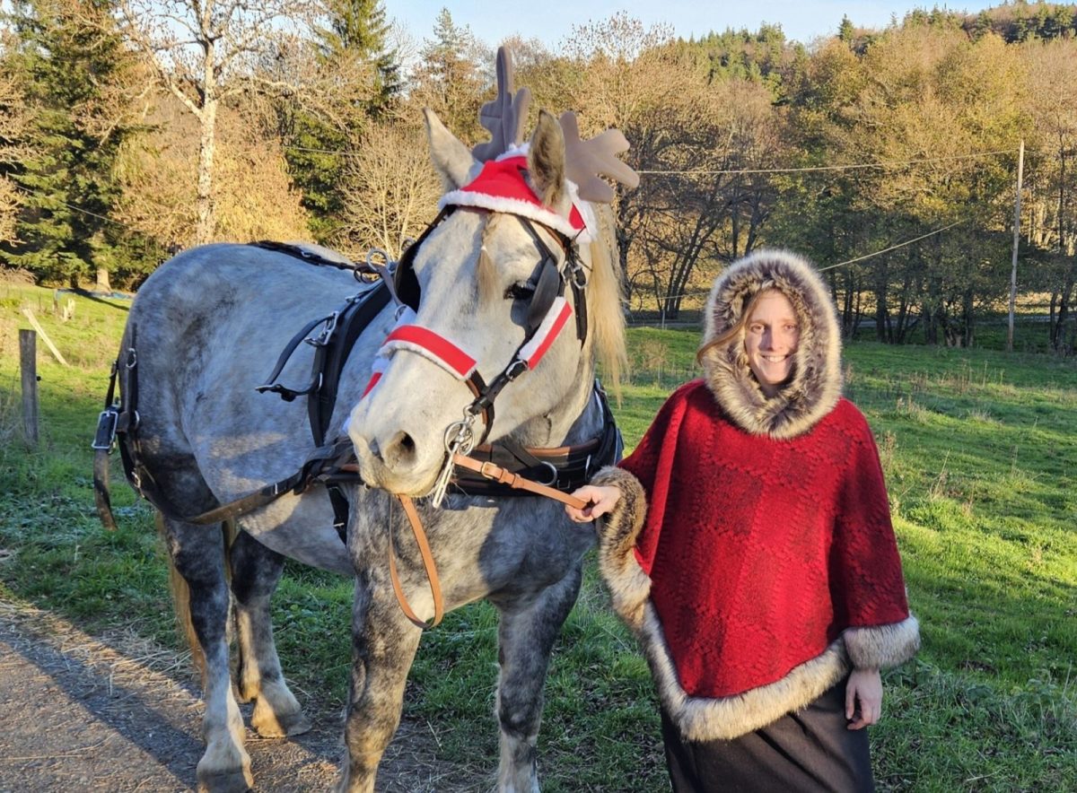 Calèche au marché de Noël à Mars Ardèche Hautes Vallées